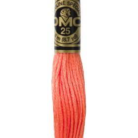 Fil à broder mouliné DMC coloris 3340 Orange Abricot - Univers Broderie