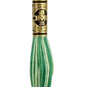Fil à broder mouliné dégradé DMC coloris 125 Vert Printemps - Univers Broderie