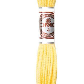 Fil DMC retors Canevas - 2743 Jaune pamplemousse - Univers Broderie