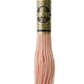 Fil à broder mouliné DMC coloris 3771 Sable Rose - Univers Broderie