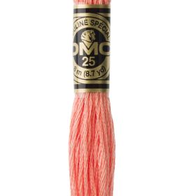 Fil à broder mouliné DMC coloris 3341 Orange Pêche - Univers Broderie