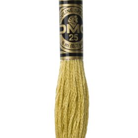 Fil à broder mouliné DMC coloris 834 Tisane verte - Univers Broderie