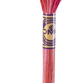 Fil à broder mouliné DMC Variation 4200 Grenade - Univers Broderie