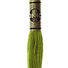 Fil DMC mouliné 581 Vert Criquet – Échevette 8 m (Art.117)