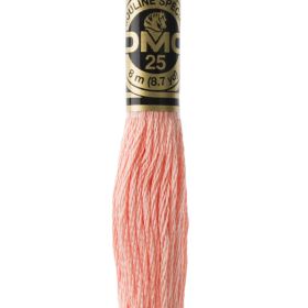 Fil à broder mouliné DMC coloris 3824 Orange Melon - Univers Broderie