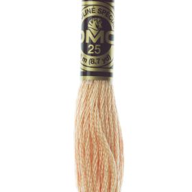 Fil à broder mouliné DMC coloris 3856 Orange Marron Chamois - Univers ...