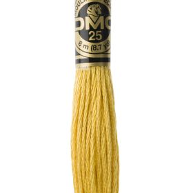 Fil à broder mouliné DMC coloris 3821 Jaune Blé - Univers Broderie