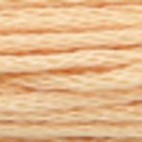 Fil mouliné ANCHOR à broder, Coton ANCHOR 942 - Univers Broderie